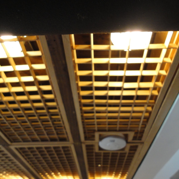 Basement Ceiling Inserts - RYOBI Nation Projects