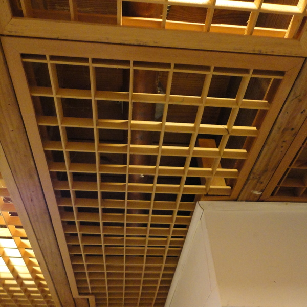 Basement Ceiling Inserts - RYOBI Nation Projects