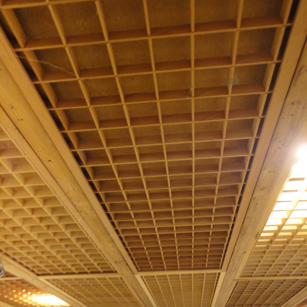 Basement Ceiling Inserts - RYOBI Nation Projects